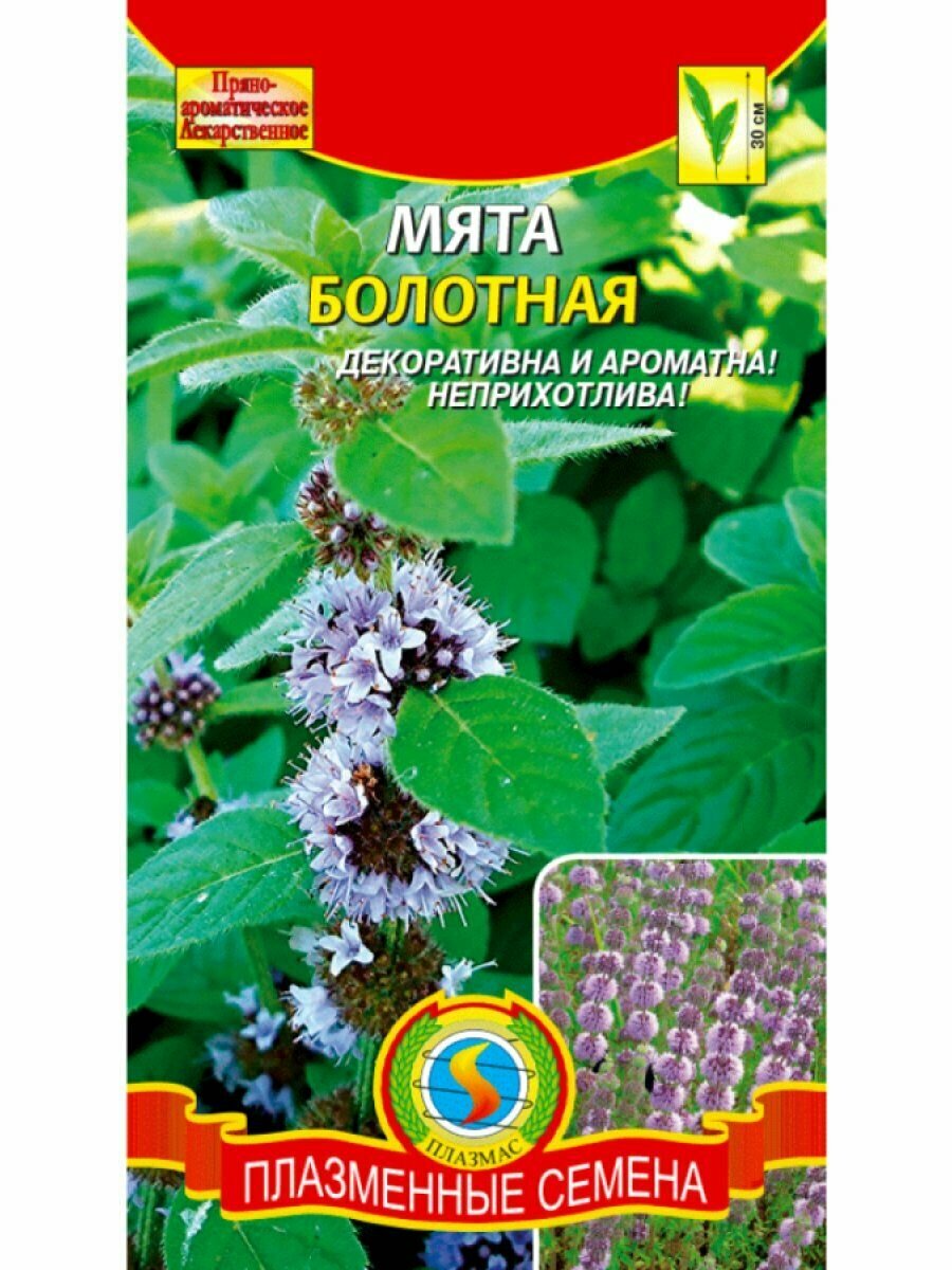 Мята болотная 0,03 г, Плазменные семена