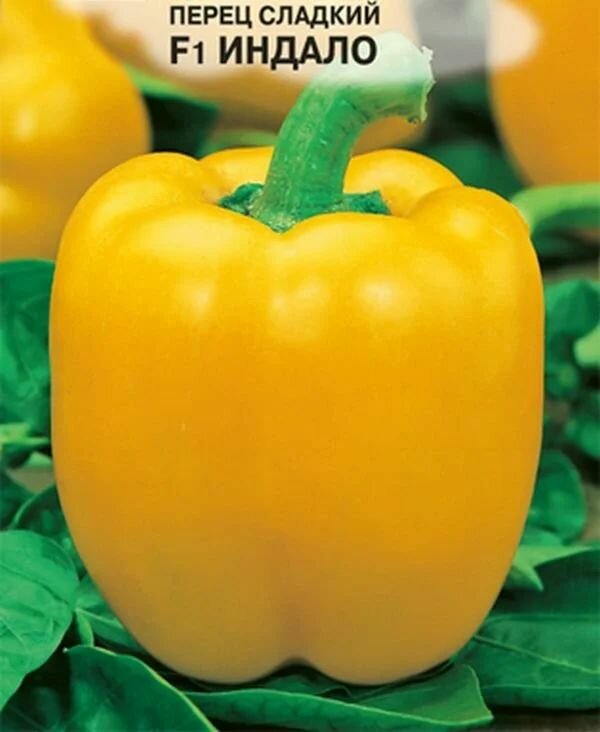 Коллекционные семена перца сладкого Индало F1