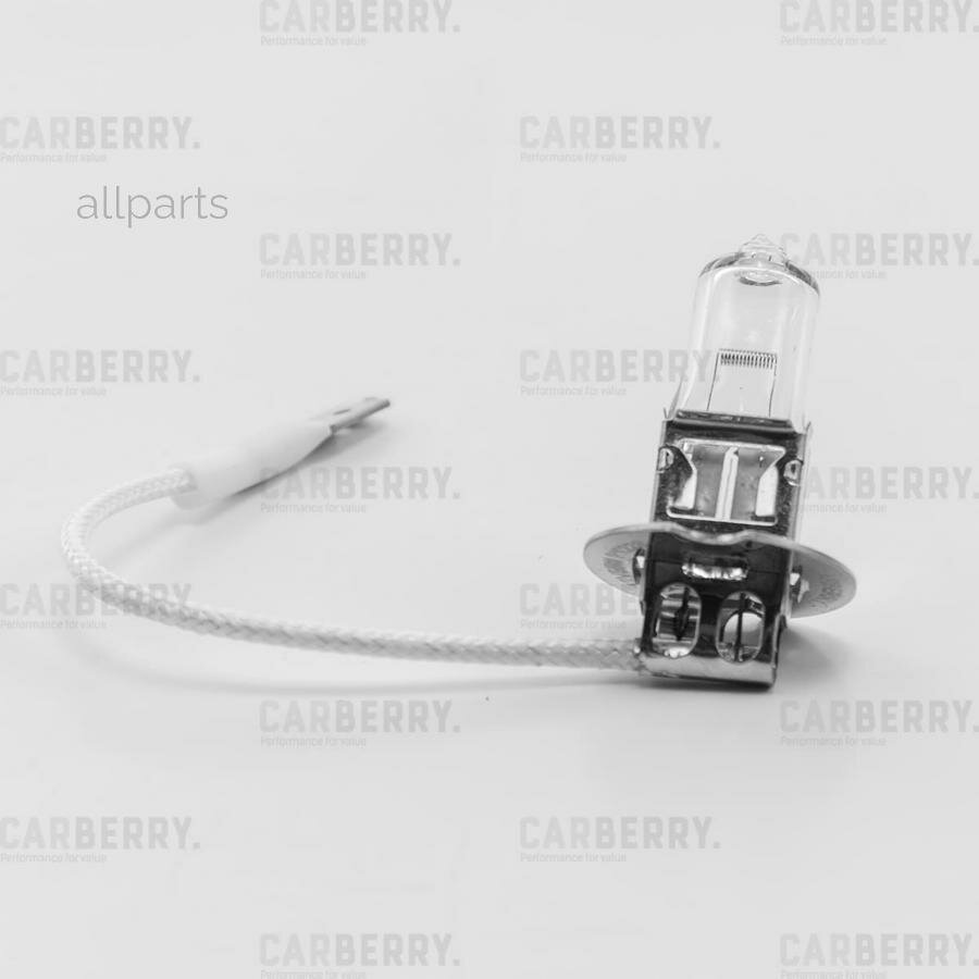 CARBERRY 31CA12 Лампа H3 12V 55W Day&Night