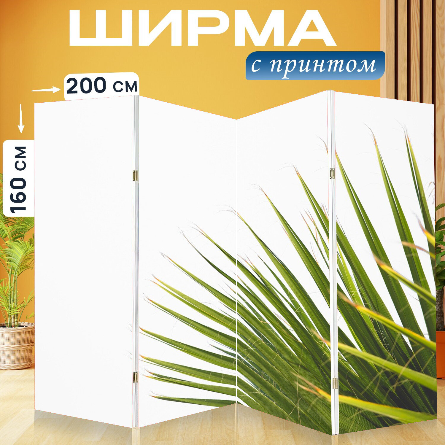 Ширма перегородка с принтом "Изолированные, дерево, белый" на холсте - 200x160 см. для зонирования, раскладная