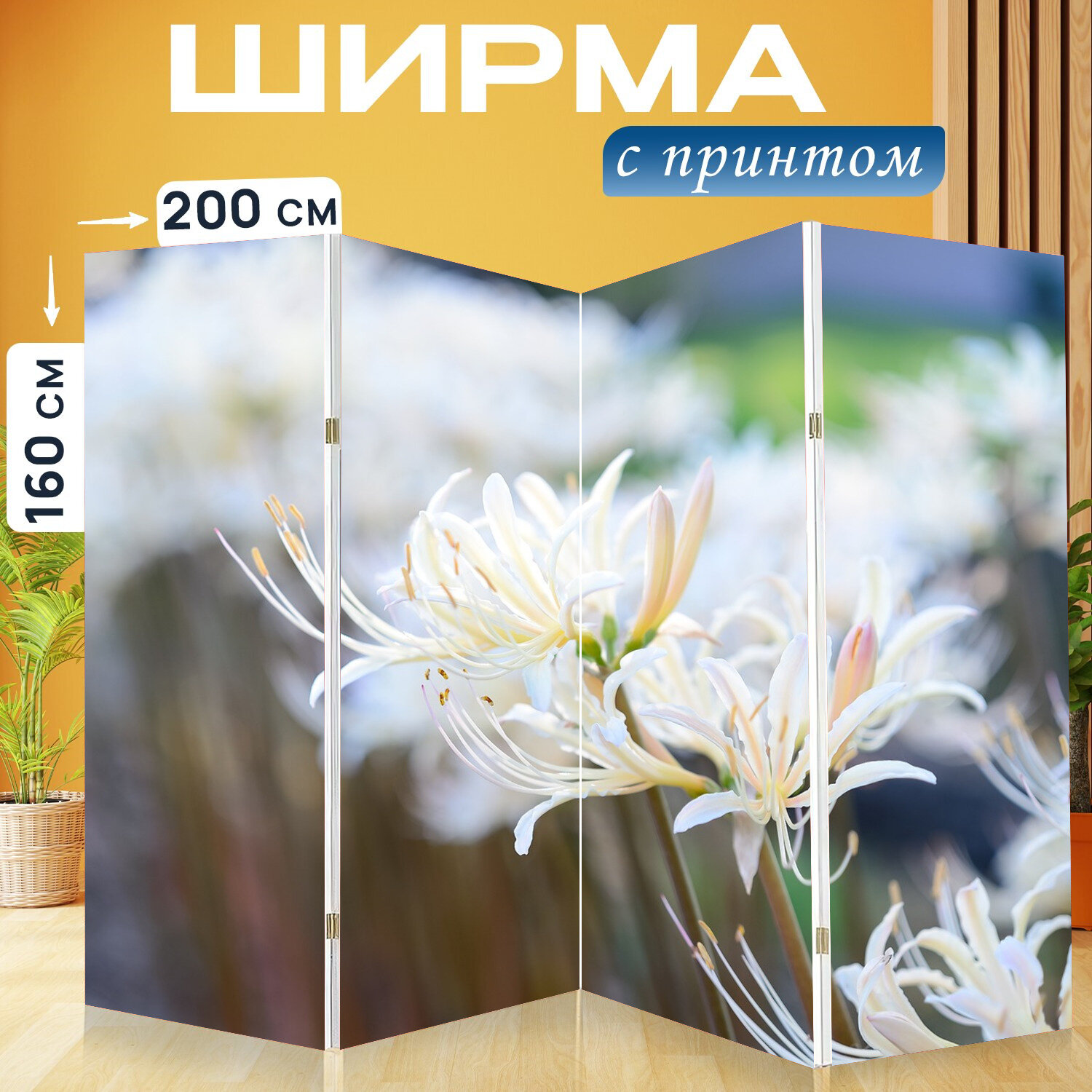 Ширма перегородка с принтом "Сад, цветы, белые паучьи лилии" на холсте - 200x160 см. для зонирования, раскладная