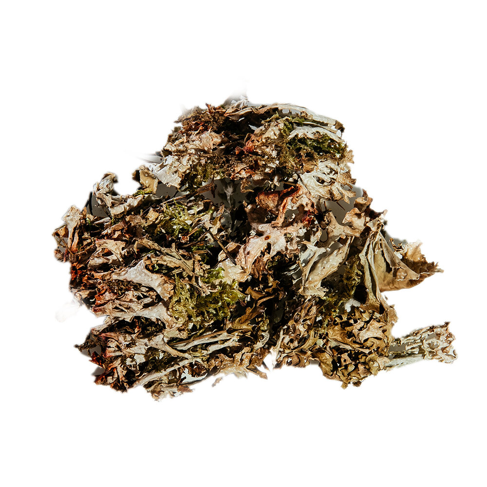 Исландский мох при заболеваниях дыхательной системы от бренда "Отварчик пей", вес 500 грамм