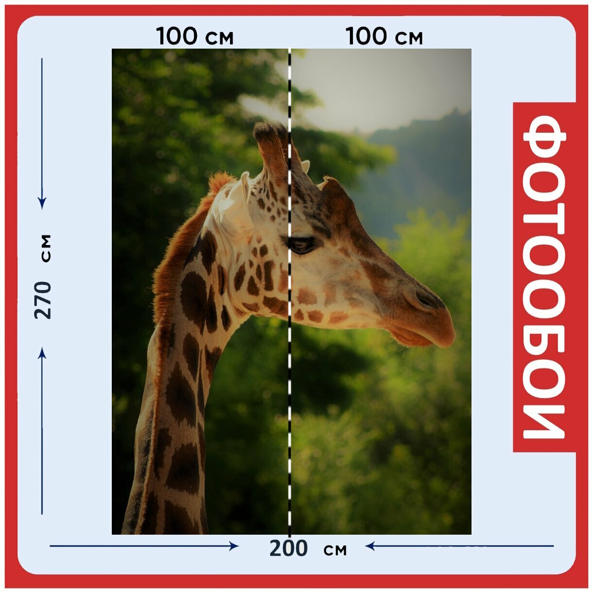 Фотообои "Жирафа, сафари, животное" 200x270 см. флизелиновыена стену