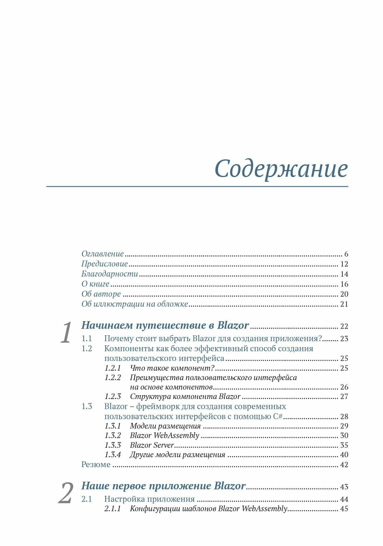 BLAZOR в действии — фото 1