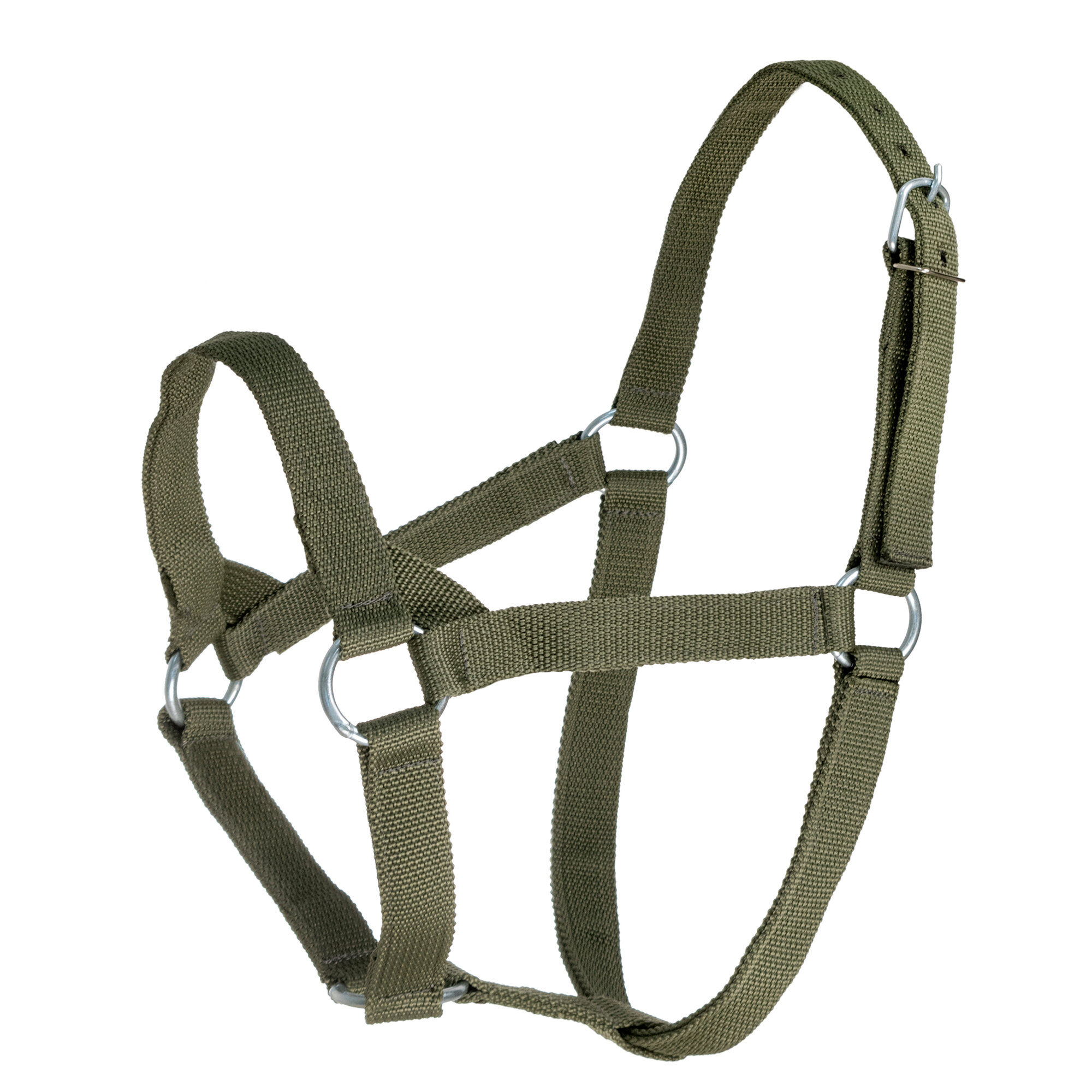 Недоуздок для лошади двойной капрон, недоуздок без повода цвет хаки 25 мм REITER