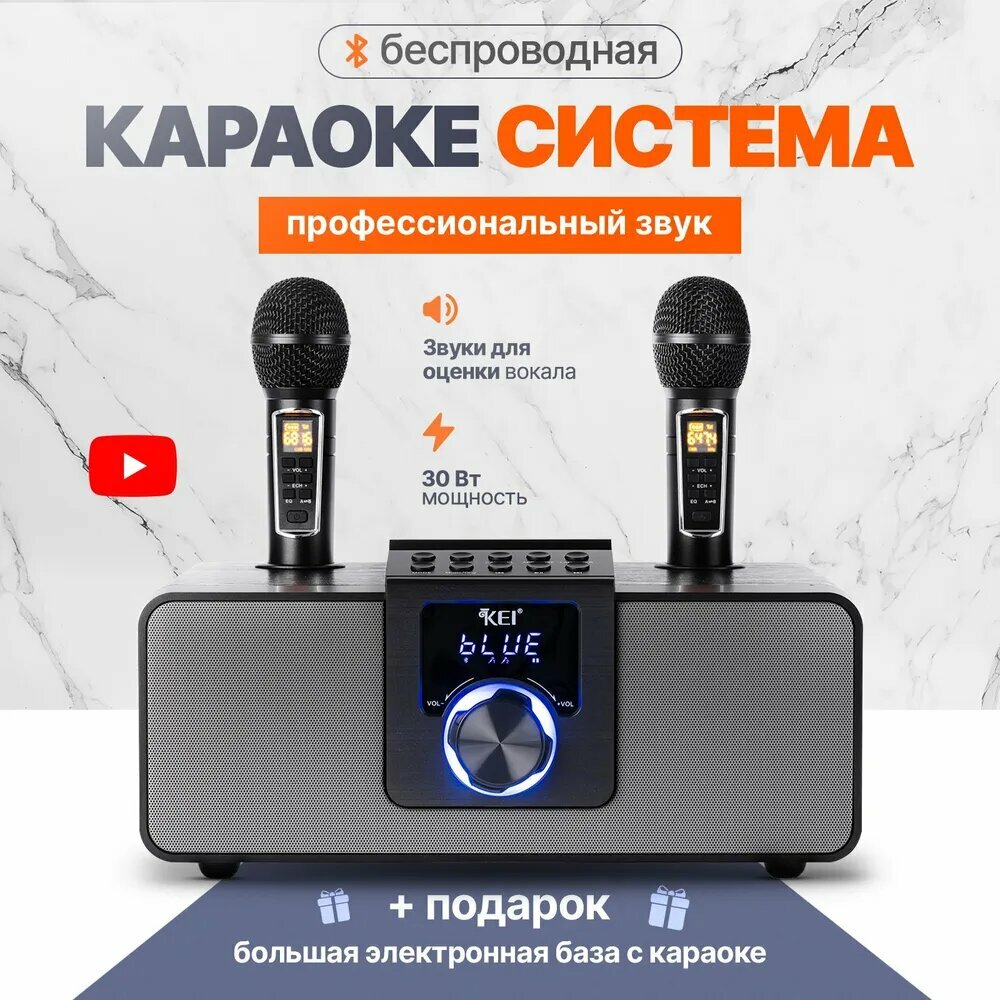 Караоке система KEI с двумя микрофонами, с функцией Bluetooth и USB разъемом