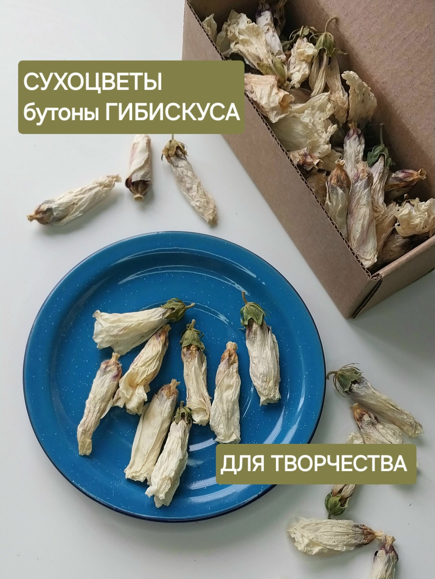 Сухоцветы для творчества. Бутоны Гибискуса.