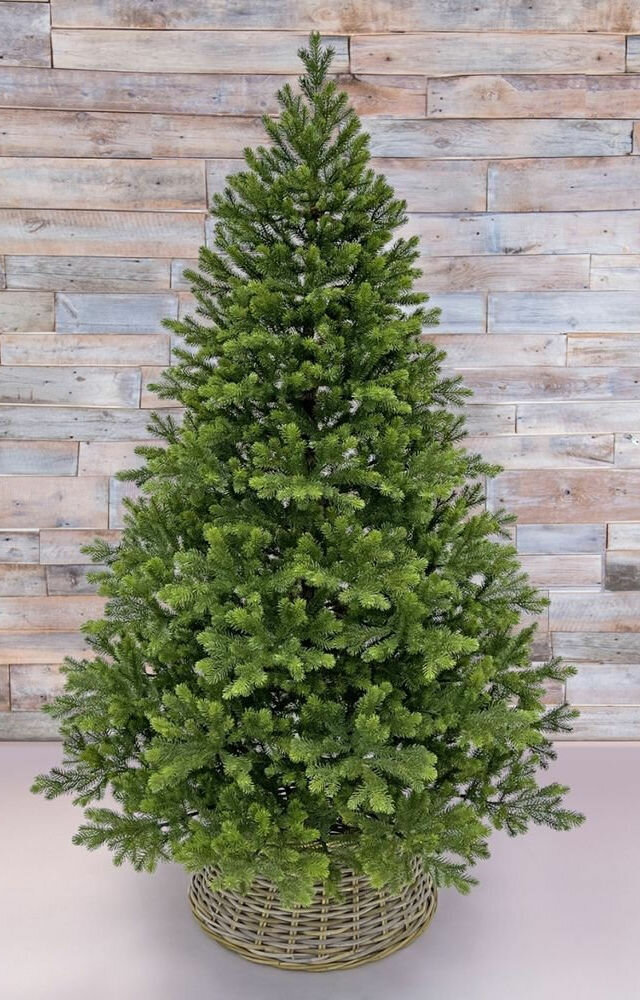 Искусственная елка Можжевельник 185 см, литая 100%, Триумф Три (Triumph Tree) 72130