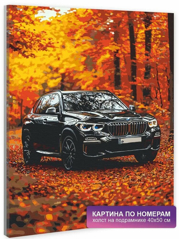 Картина по номерам на холсте с подрамником 40х50 см. Автомобиль, машина. "БМВ BMW X5", арт. 5566/