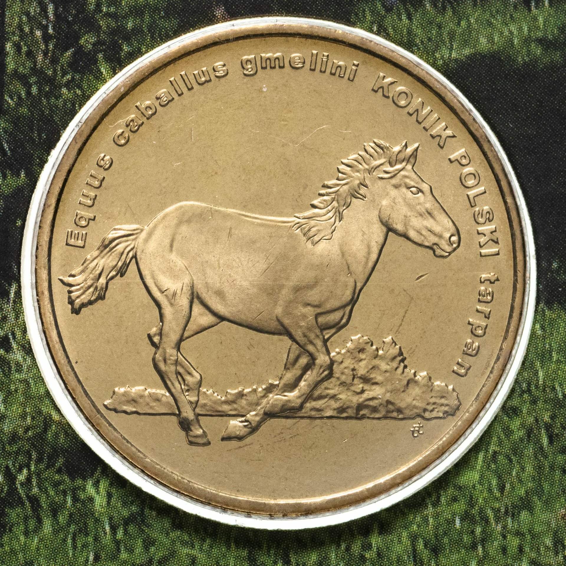 Польша 2 злотых 2014 "Польский Коник", Алюминиевая бронза, в сохранности UNC