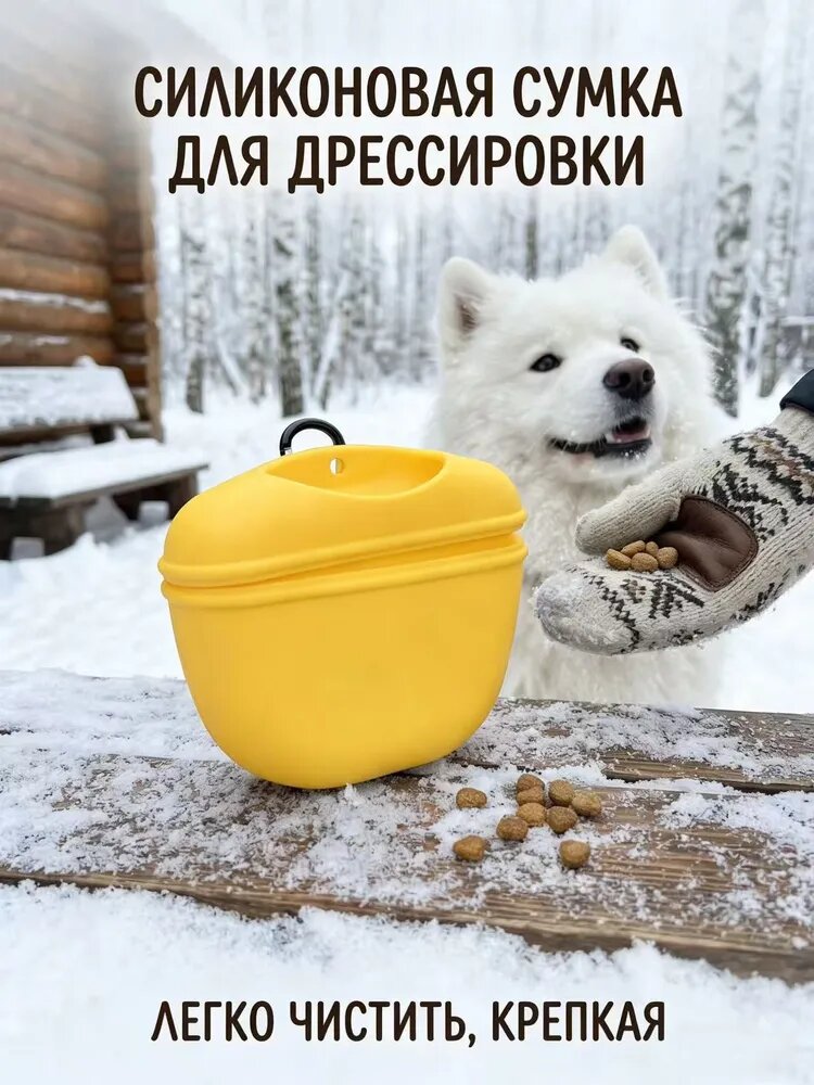 Набор лакомств для домашних животных
