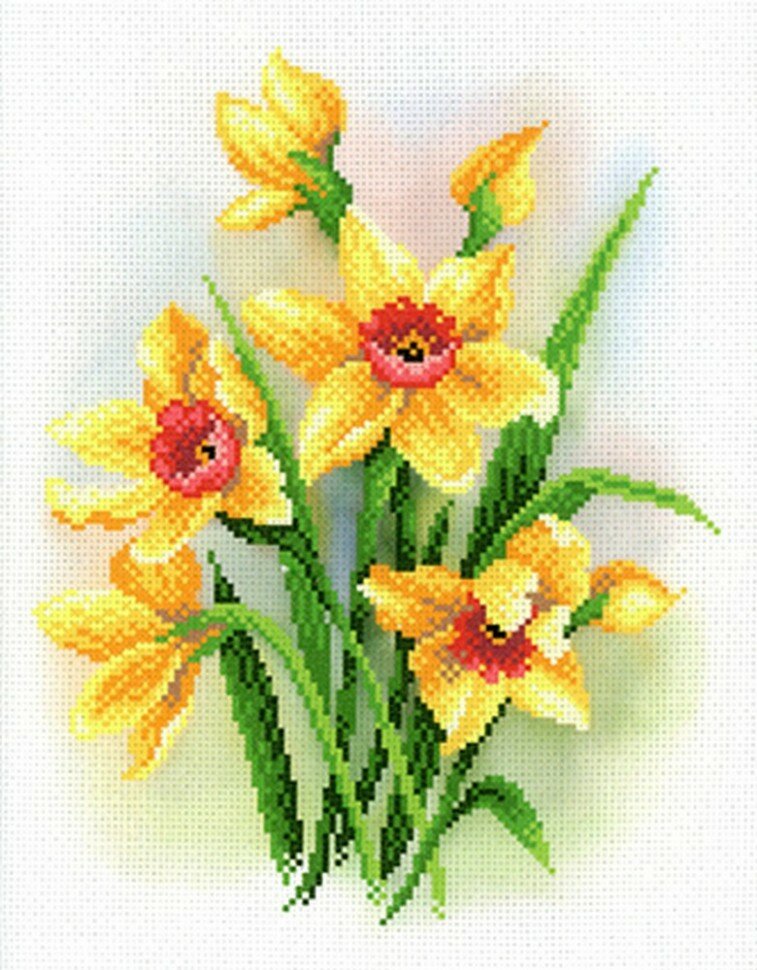 Канва с рисунком для вышивания М. П. Студия СК-054 Чудные нарциссы, 20 x 27 см (Нитки в в комплект не входят.)