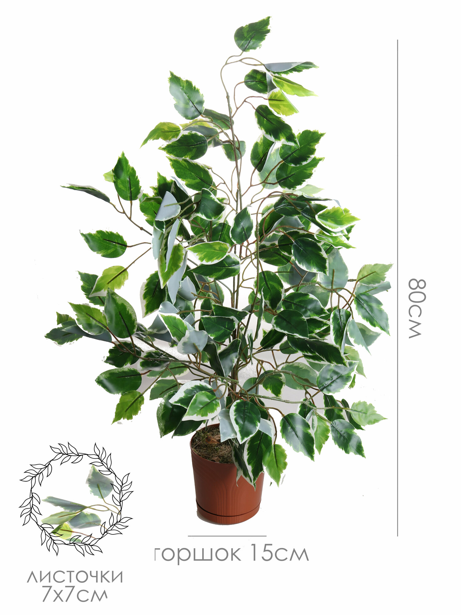 Искусственный фикус Holodilova "Бенджамин", латекс, пестролистный, 80см