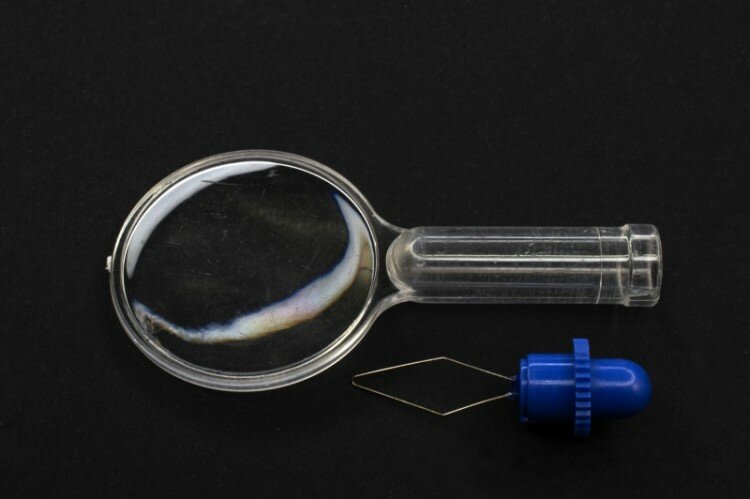 Нитковдеватель с лупой 65х29х10мм, сталь/пластик, 32-247, 1шт