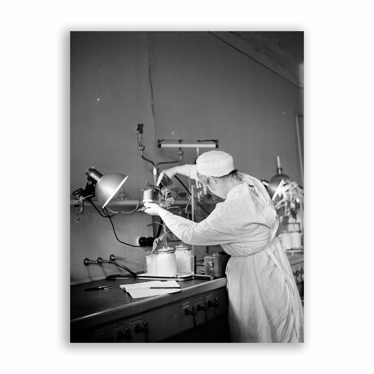 Советский постер, плакат на бумаге / Советские рабочие / Размер 30 x 40 см