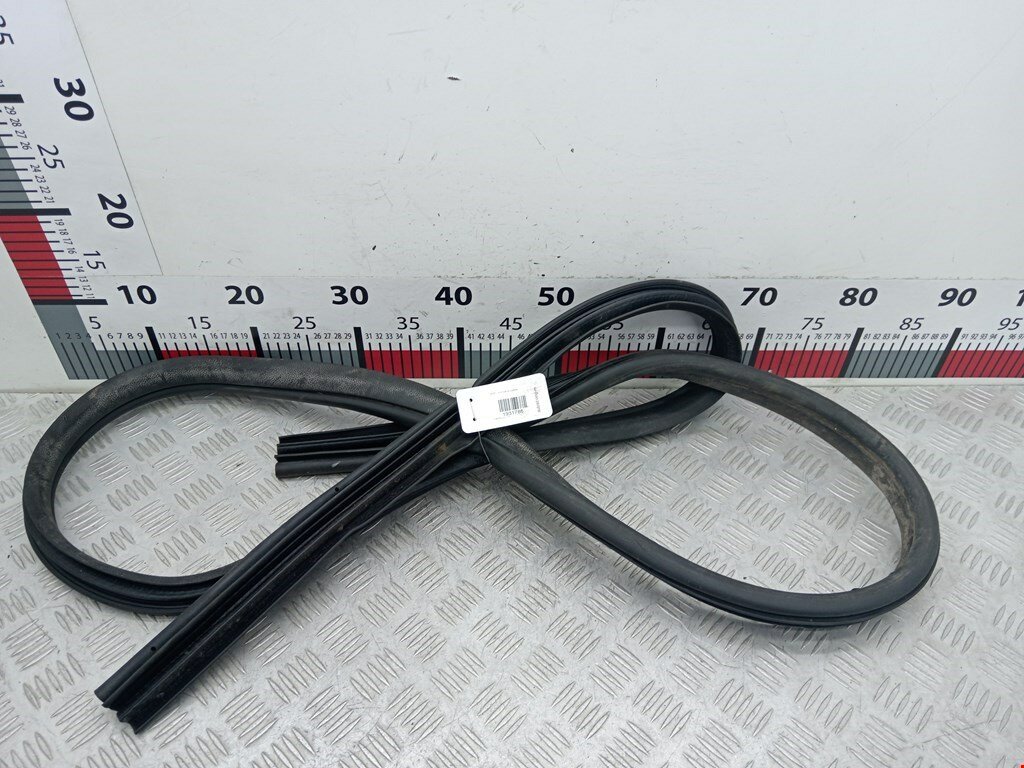 Уплотнитель двери Ford Focus 2 1534918 арт. 1931786