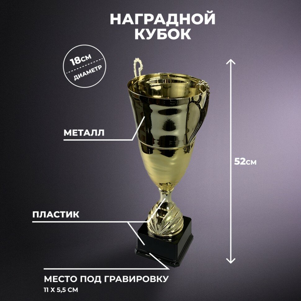 Наградной спортивный кубок на пластиковом постаменте (52 см)