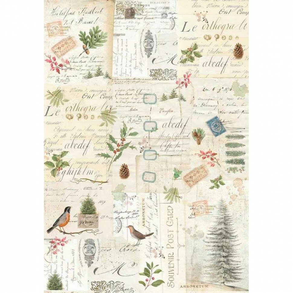 #DFSA3009 Бумага рисовая "Зимняя ботаника" 29.7 х 42.0 см Stamperia 1 лист