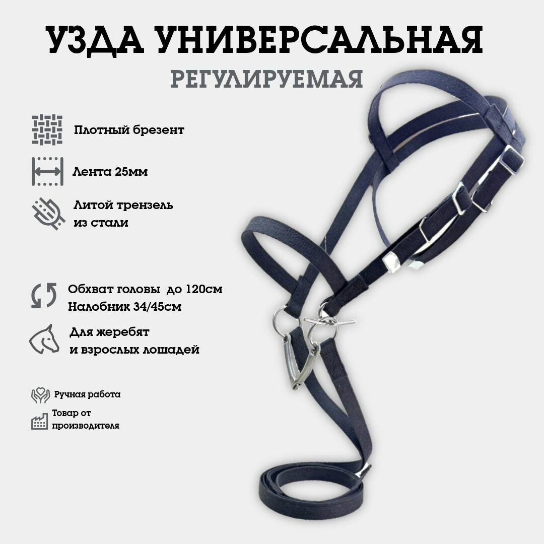 Уздечка для лошади, жеребят универсальная, регулируемая, из брезента, однослойная, черный 25мм