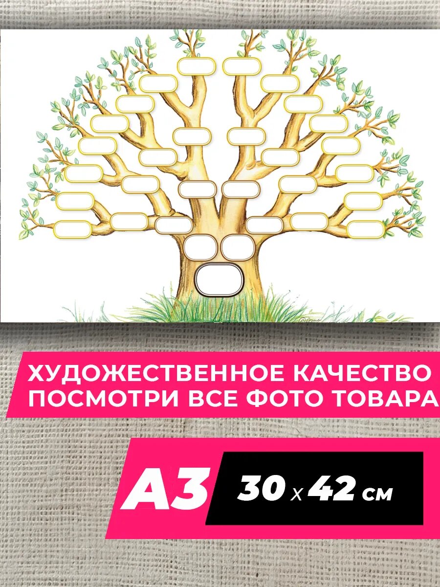 Постер Генеалогическое древо на стену A3, матовая фотобумага премиум качества