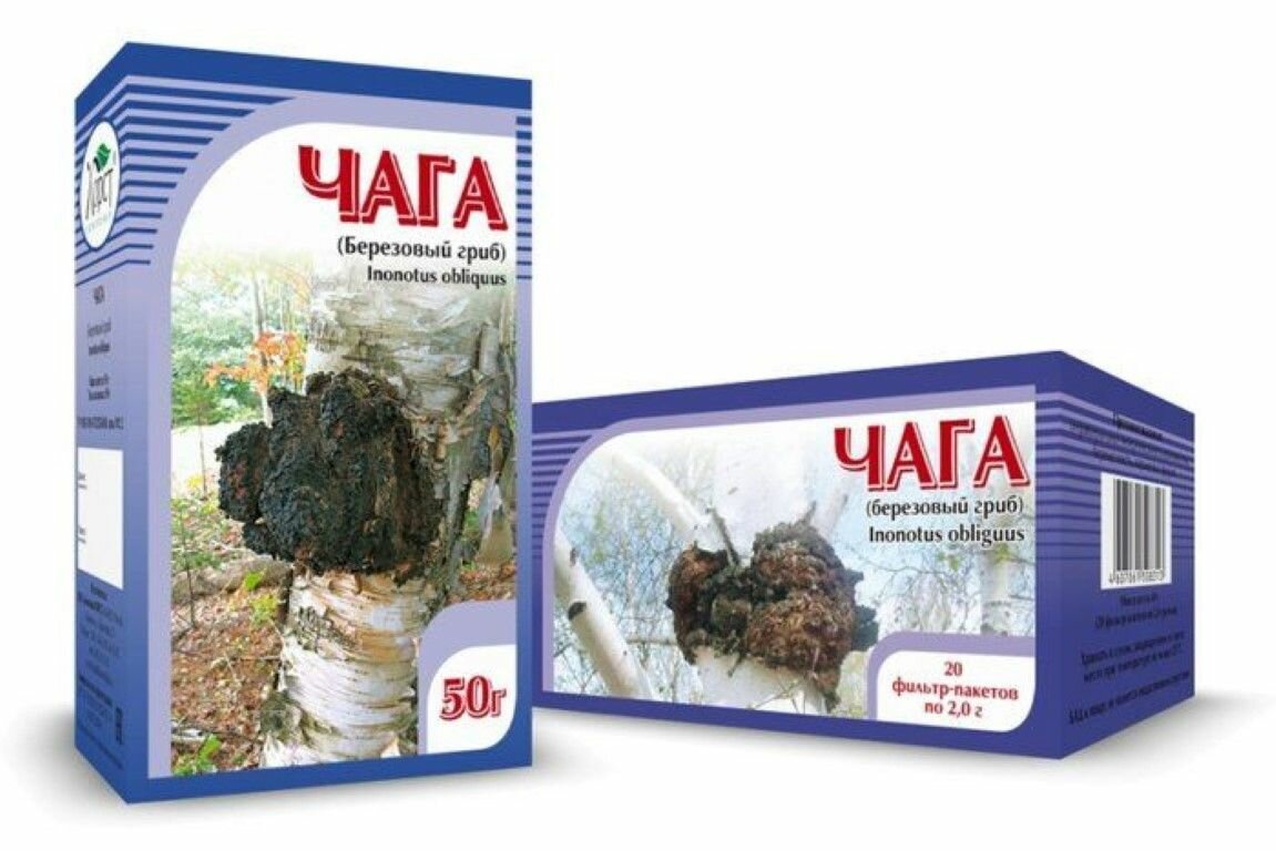 Травяной сбор Хорст чага березовый гриб, 20 пакетиков