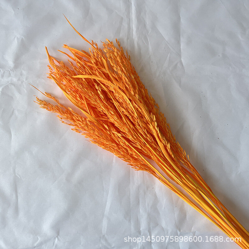 Рисовые колосья, сушеные, для съемок, 10 палочек, оранжевые