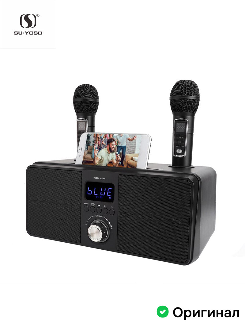 Караоке система с двумя микрофонами SDRD SD-309 черная, портативная
