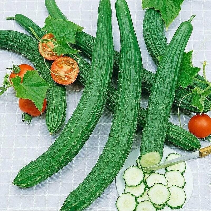 Коллекционные семена огурца F1 Китайский фермерский