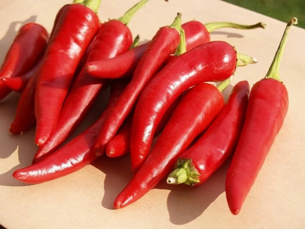 Коллекционные семена перца острого Кайенский