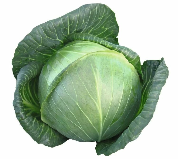 Коллекционные семена капусты б/к Тещин засол