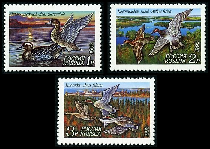 Почтовые марки России. 1992 год. № 35-37. Фауна. Утки. Серия из 3 марок