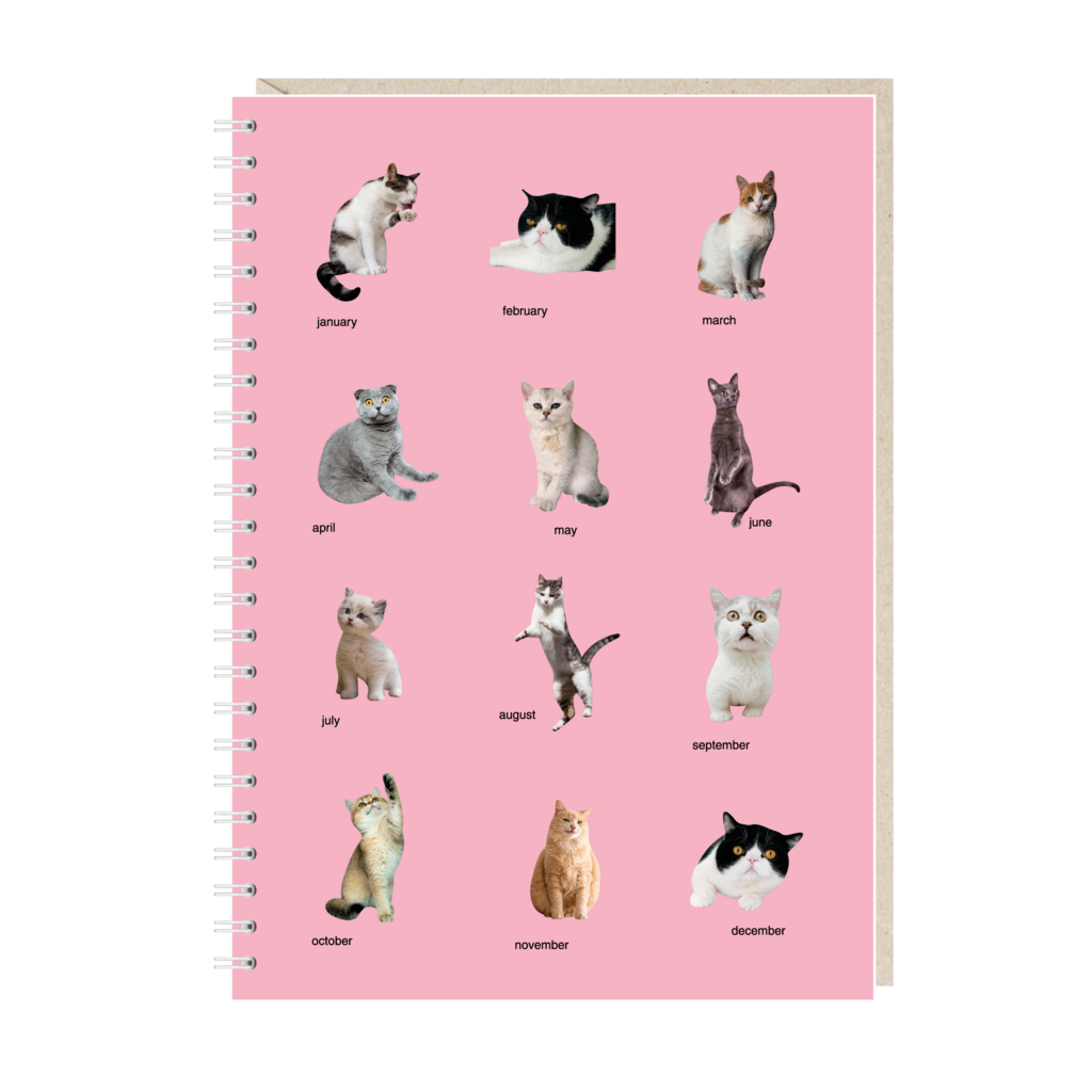 Ежедневник Mitrozhe «Календарь», А5, розовый