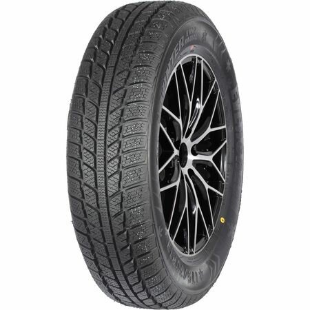 Шина Evergreen EW62 R16 205/55 91H