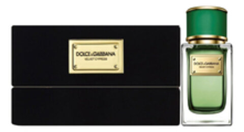 Dolce & Gabbana Velvet Cypress парфюмерная вода 50мл