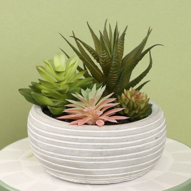Искусственное растение в кашпо Succulent: Protegos 14 см, Koopman, 319000620-1