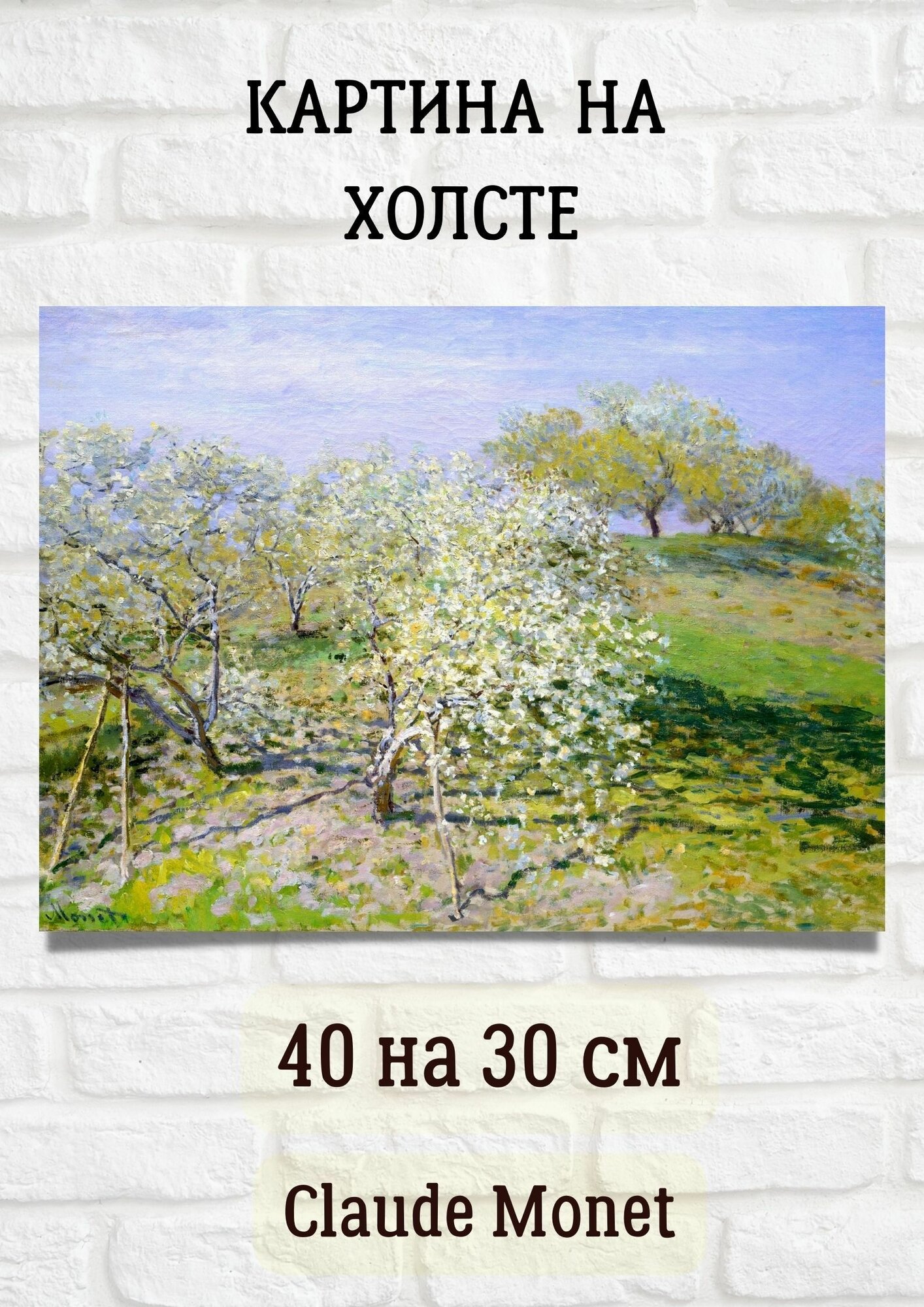 Картина интерьерная Клод Моне - "Яблони в цвету" печать на холсте