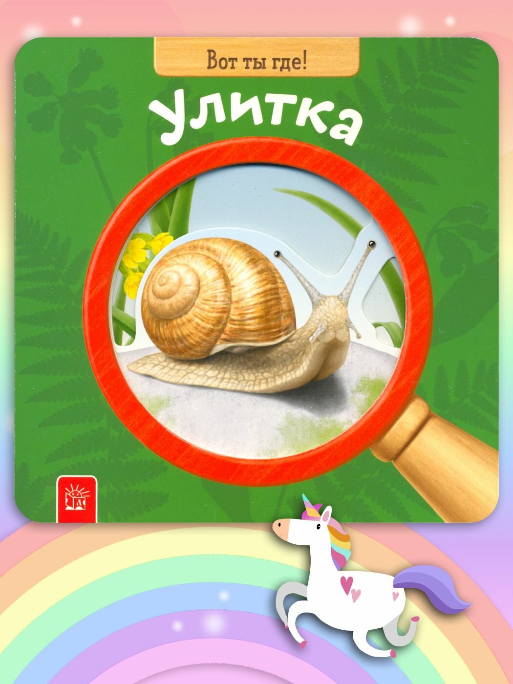 Вот ты где! Улитка