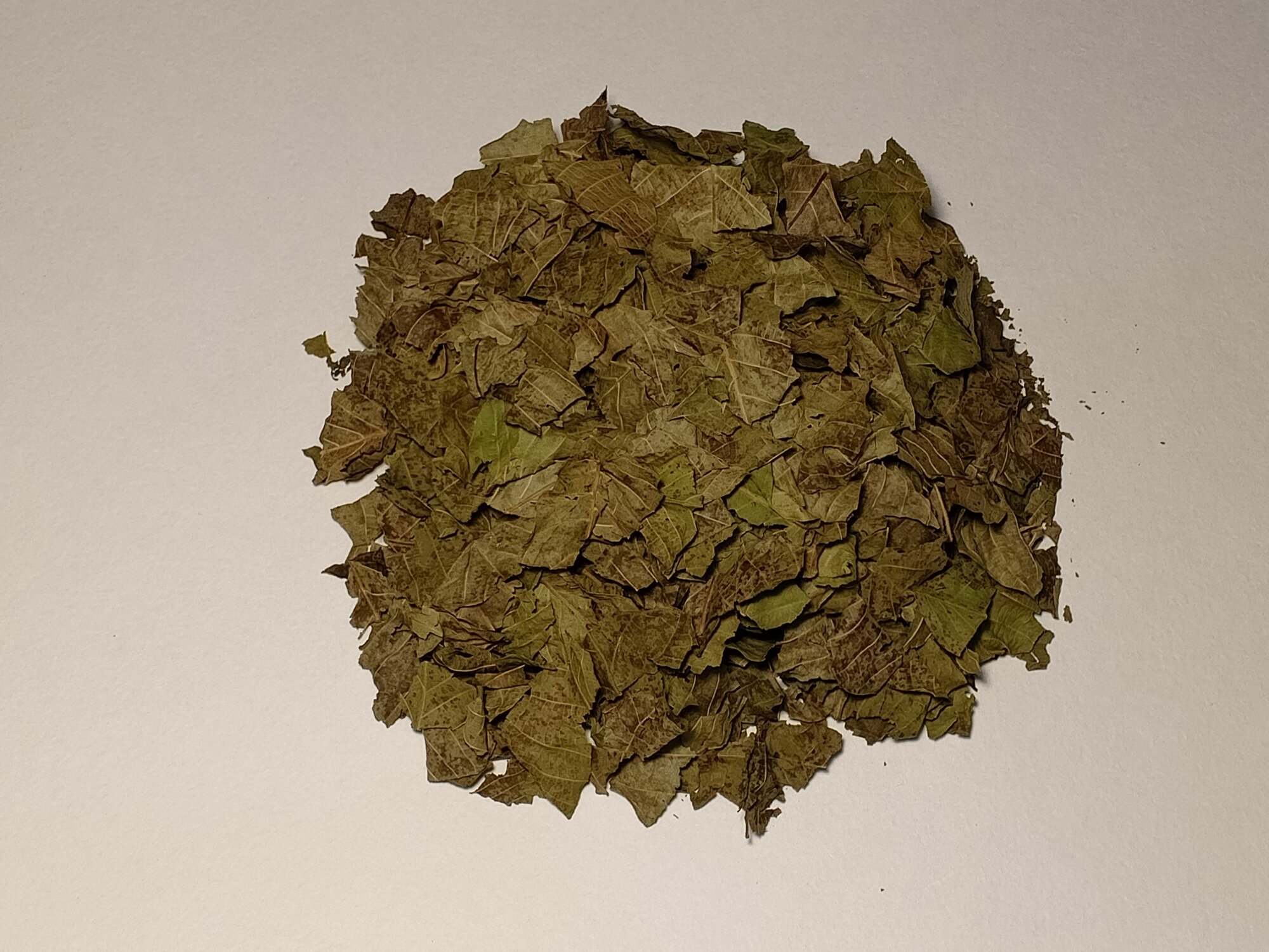 Орех грецкий (лист)