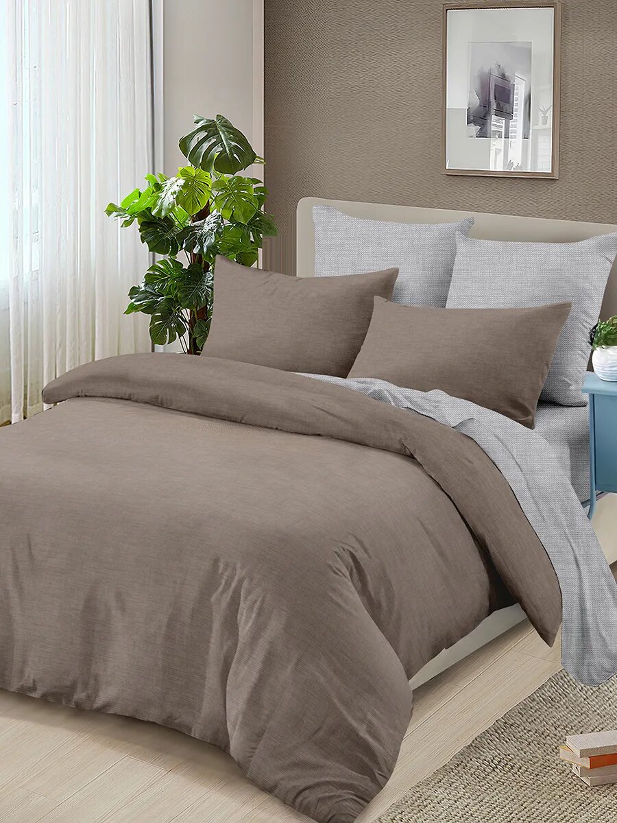 Постельное белье 2 спальное наволочки 70х70 Dream Fly