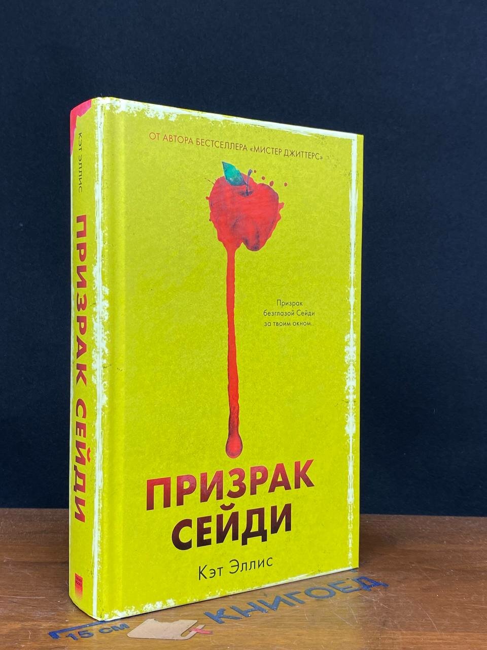 Книга. Призрак Сейди 2022 (2042125437093)