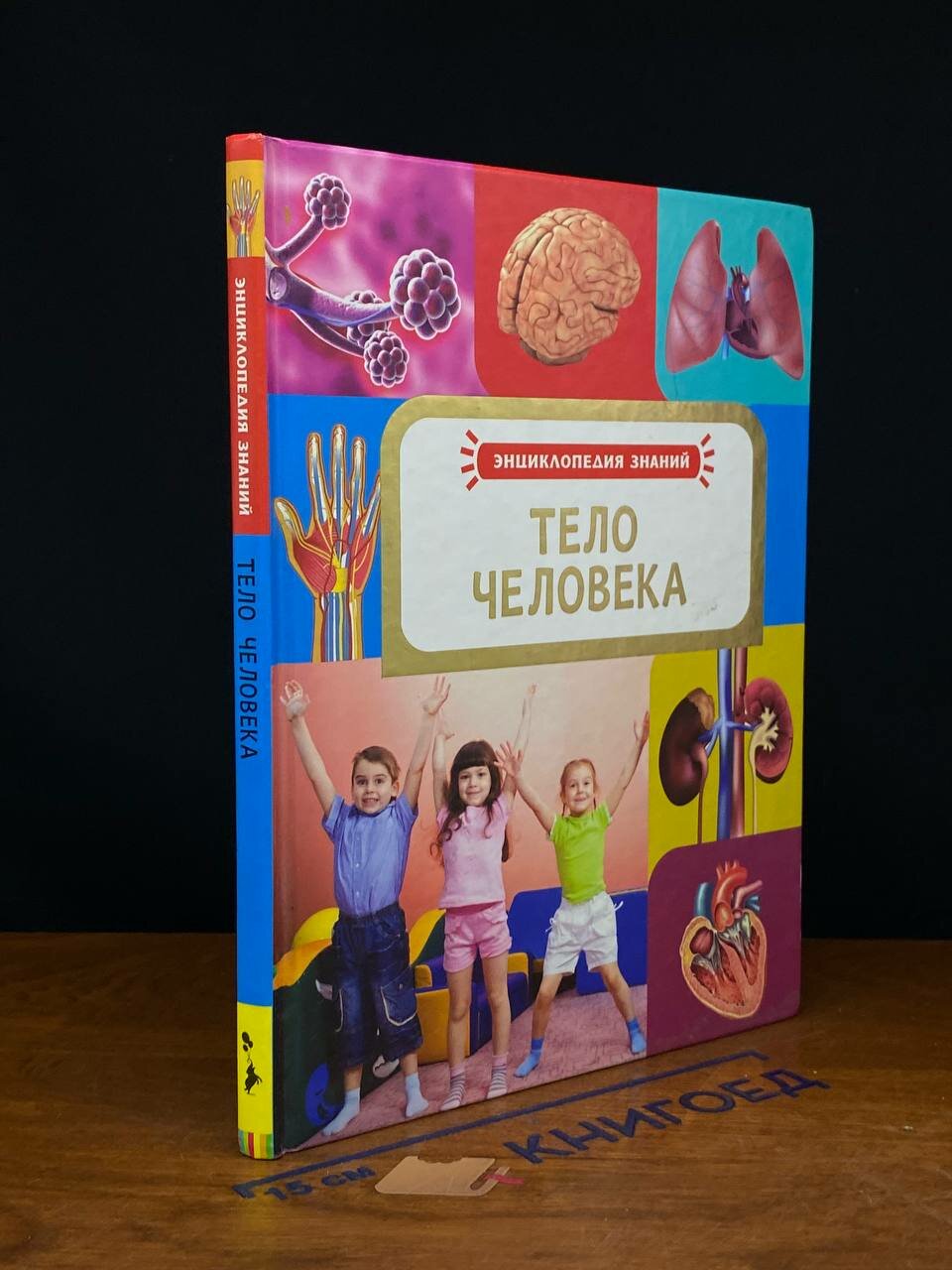 Книга. Тело человека 2013 (2042157639502)
