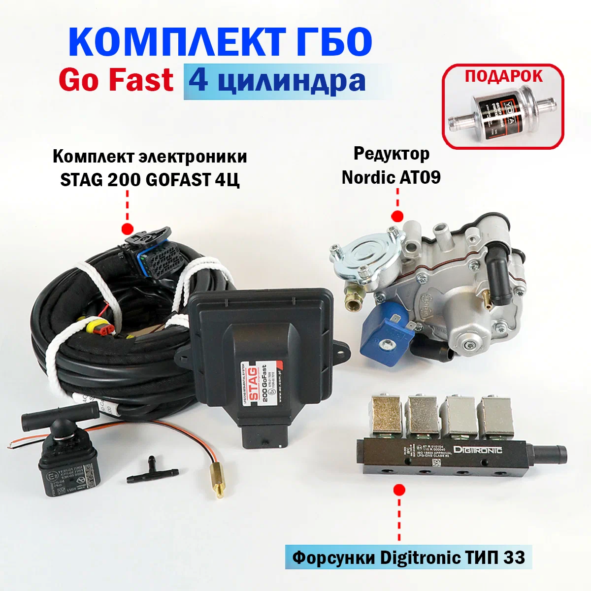 Комплект ГБО (4 цилиндра): Go Fast, Nordic AT09, Тип 33