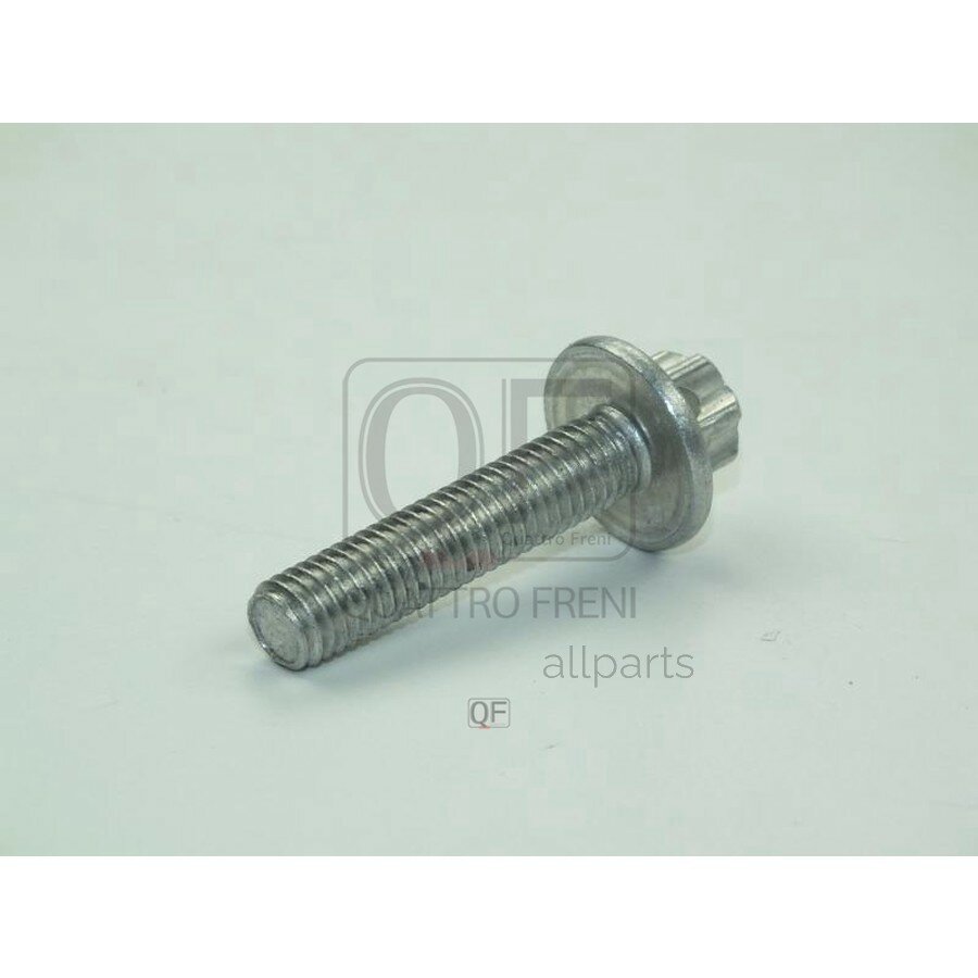 QUATTRO FRENI QF73A00006 Болт помпы алюминиевый