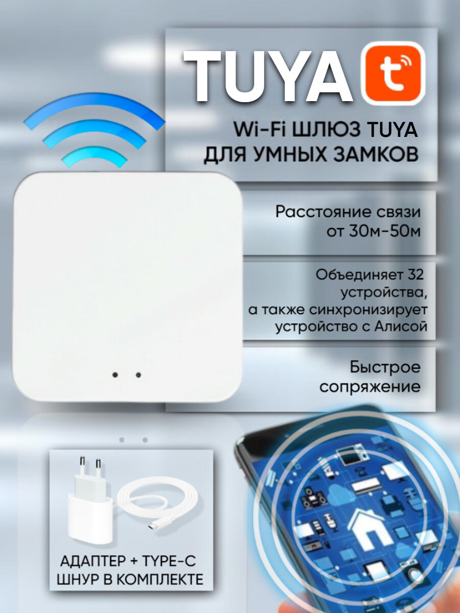 WiFi-шлюз G2 Tuyа, для умных замков и устройств, экосистема умного дома