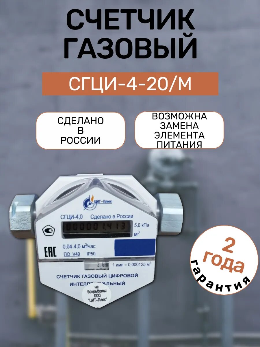 Счетчик газовый СГЦИ-4-20/М ябкю.407239.001-12 (Dn20, ГГ)