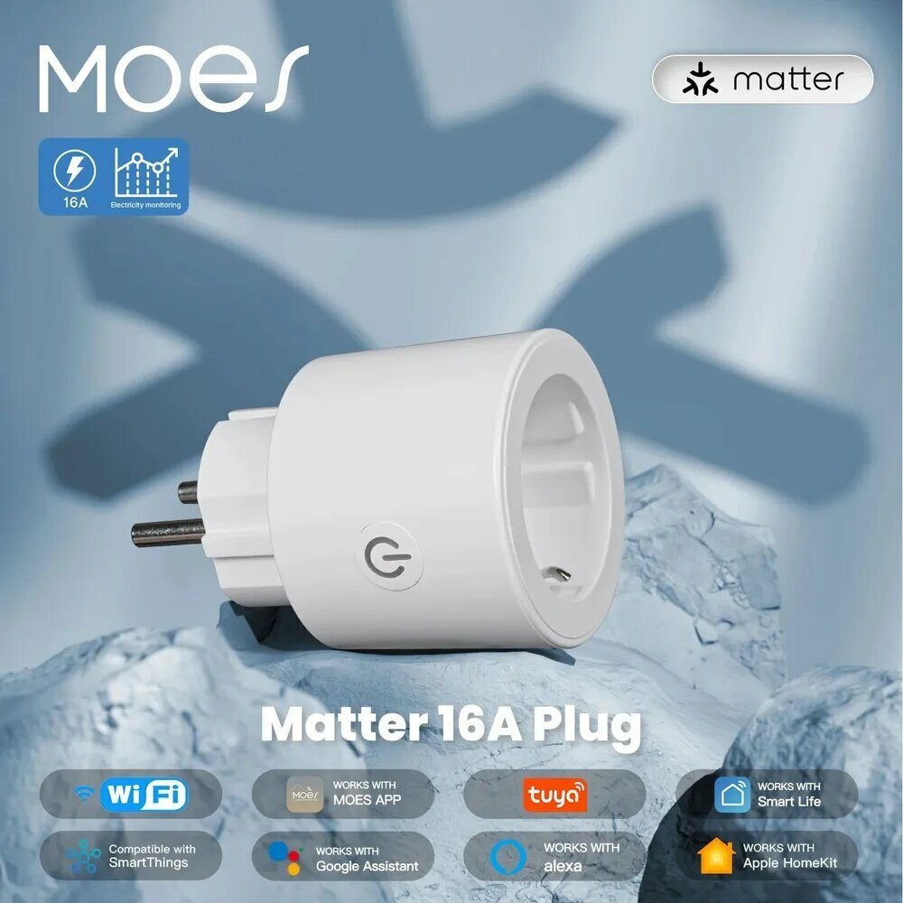 Розетка MOES Tuya WiFi socket 16a поддерживает умные устройства Apple Home Google Home Alexa