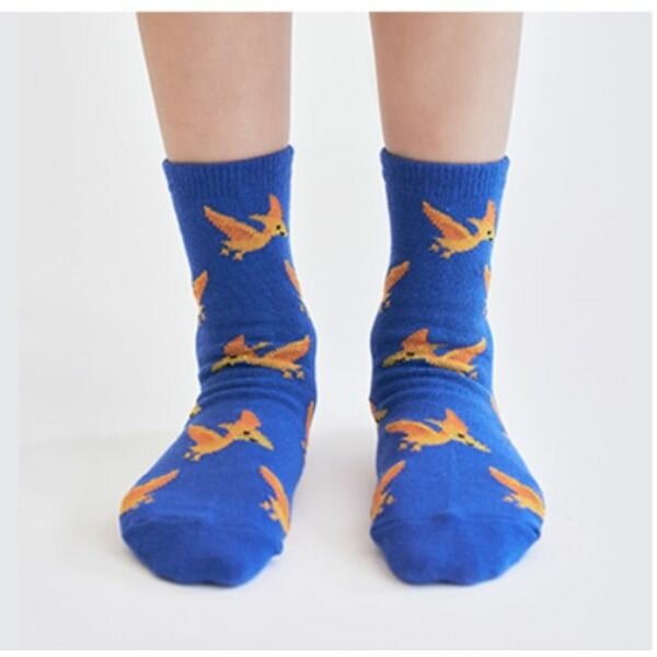 Носки Носки детские длинные (возраст 3-4 года), синие принт динозавры (OD-B-033-M-04)BABY, D TYPE