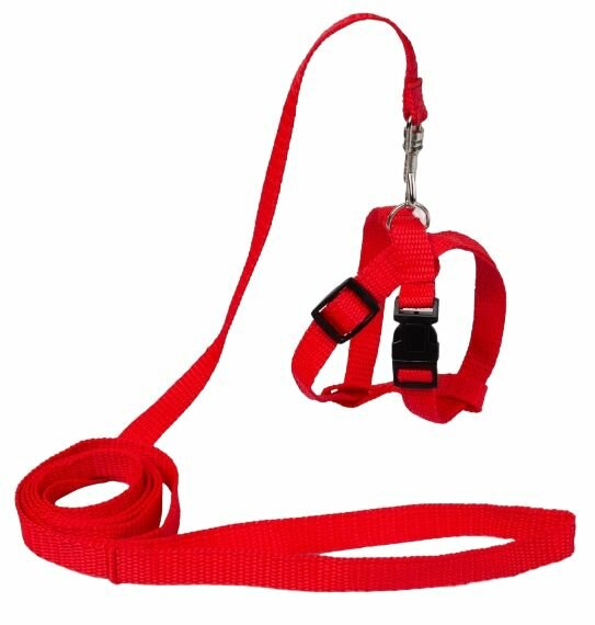 Зооник Комплект для собак средних пород Поводок + шлейка, 20 мм, 2 м
