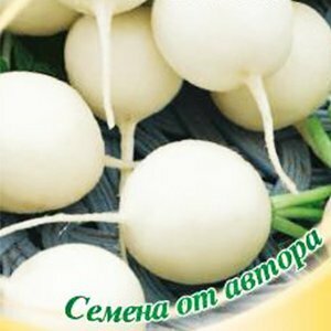 Семена Редис Снежок