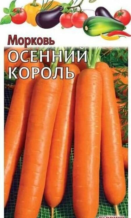 Семена Морковь Осенний король